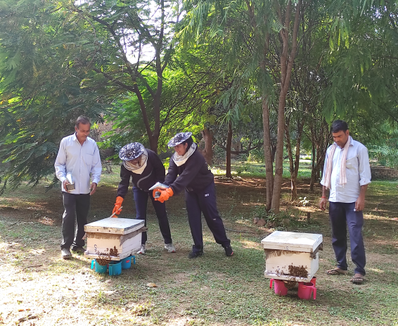 Exciting News: Bee.. Buzzz – Our Beekeeping Initiative at Scindia Kanya ...